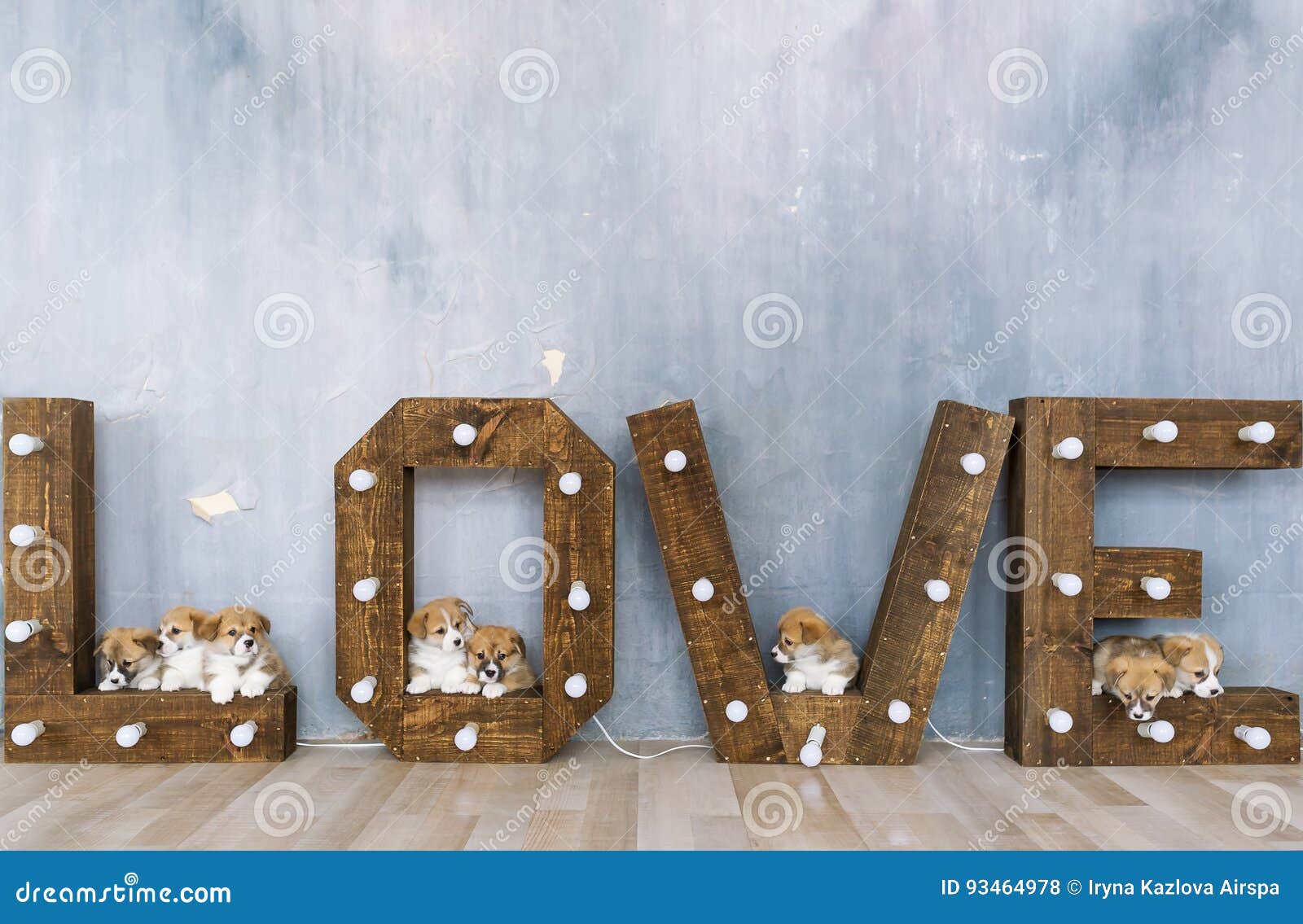 501 Pup Word Stock Photos - Free & Royalty-Free Stock Photos from ...