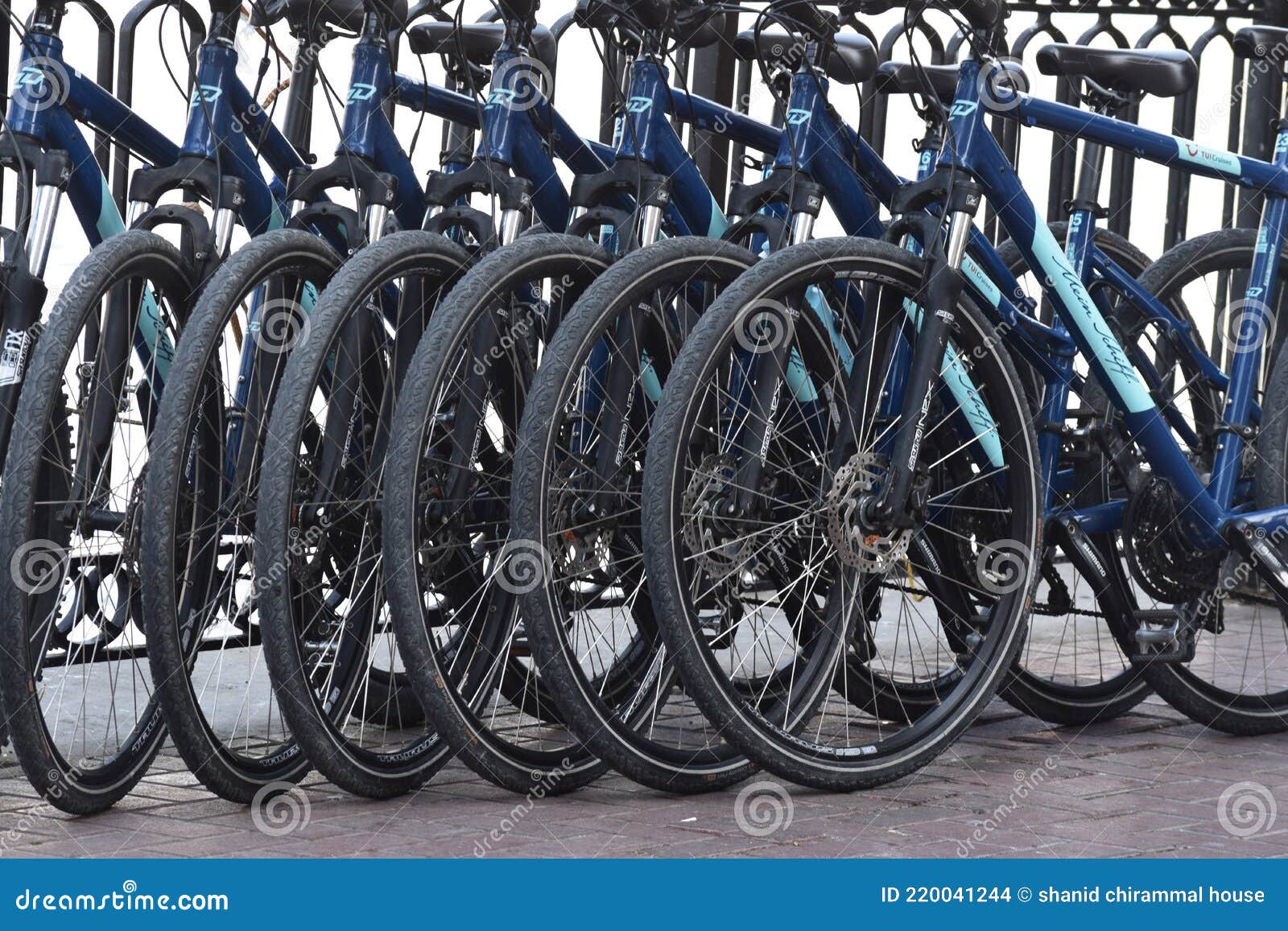 Group of Cycles Parked Together Editorial Stock Image - Image of ...
