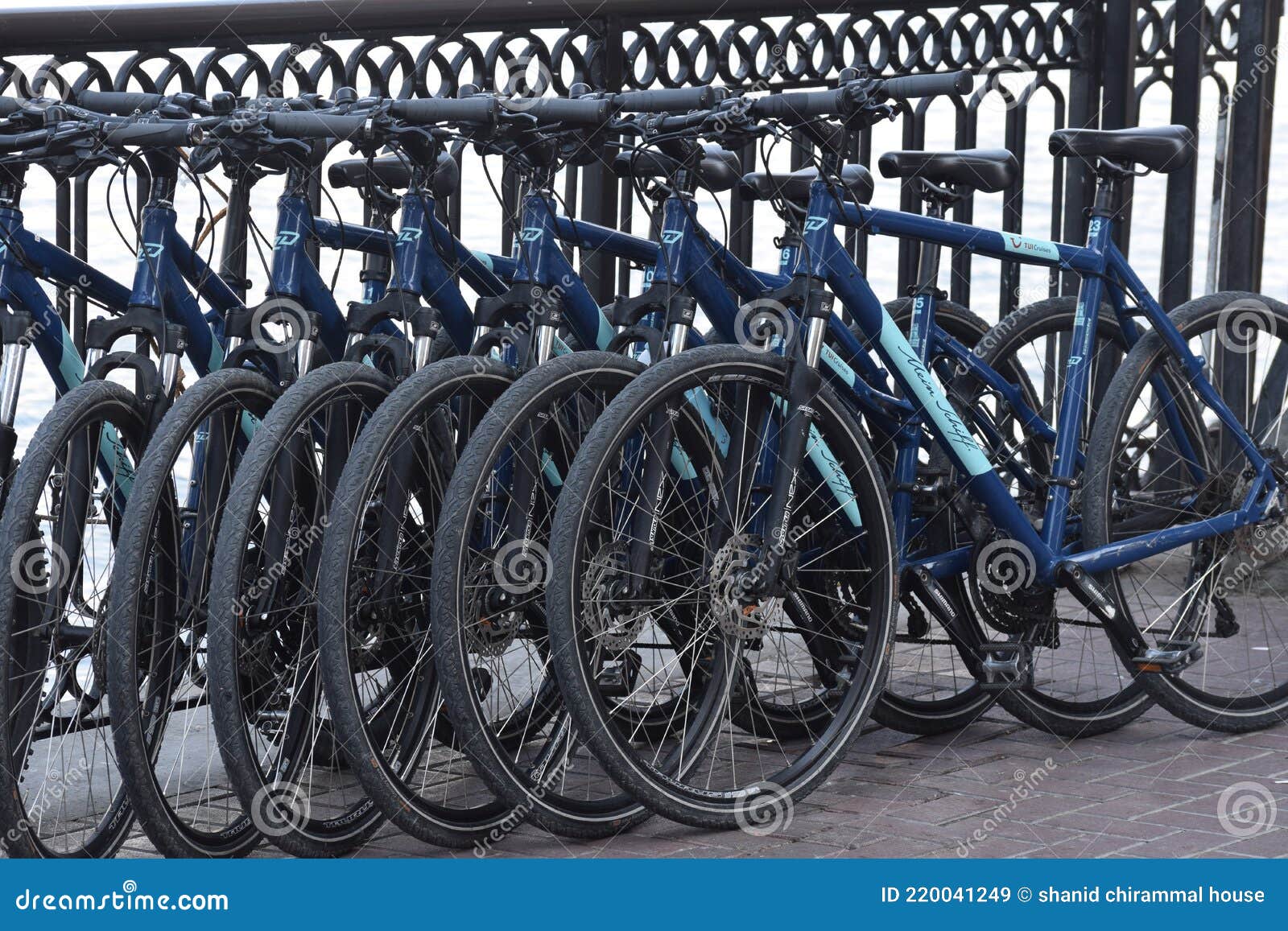 Group of Cycles Parked Together Editorial Stock Image - Image of ...