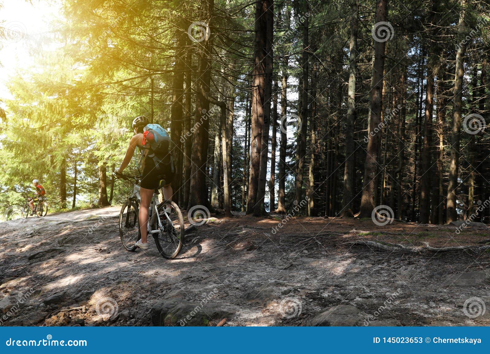 Group of Cyclists Riding Bikes Down Forest Stock Image - Image of ...
