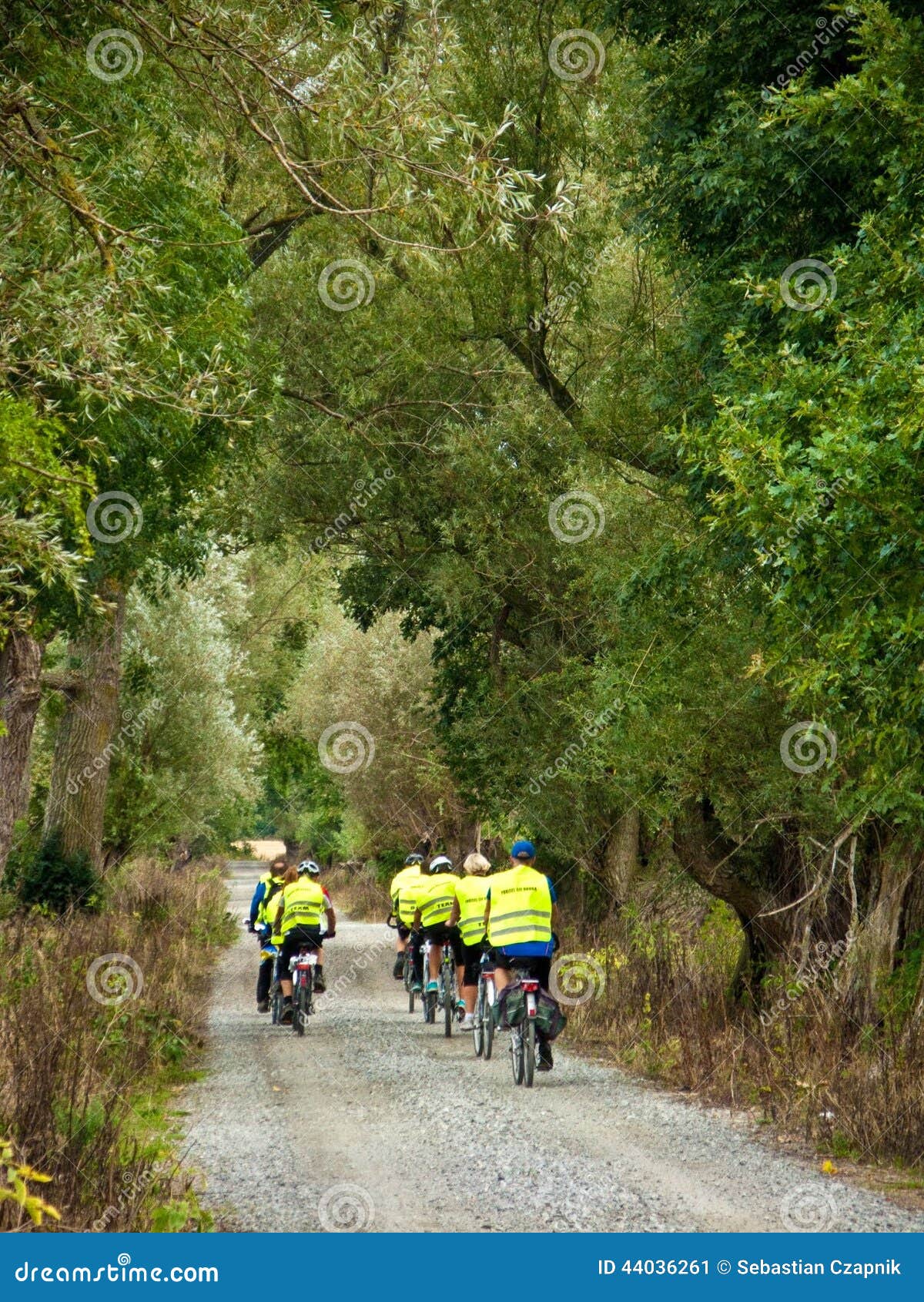 Group of cyclists on road stock image. Image of cyclists - 44036261
