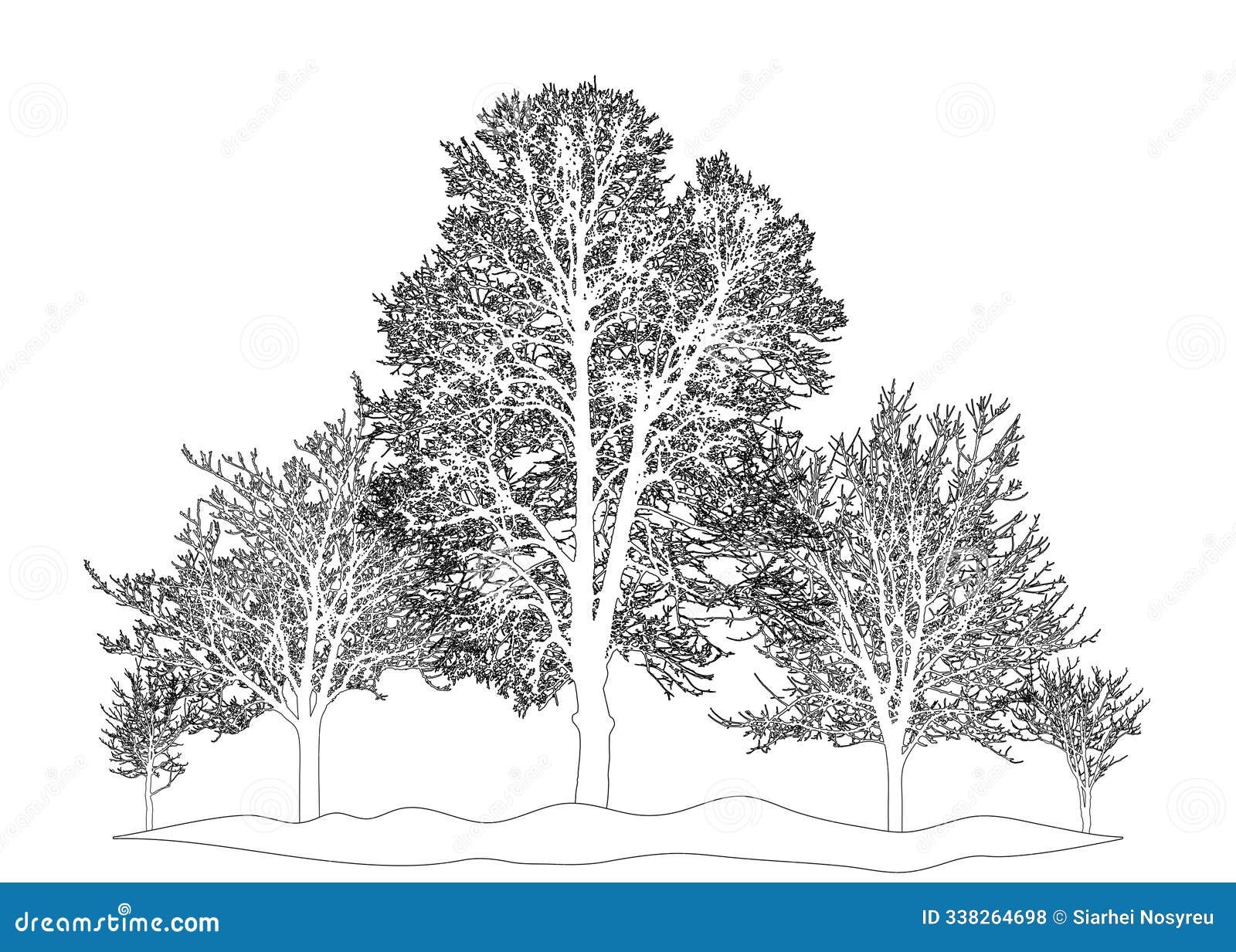 Group of Deciduous Bare Trees Standing on Hilltop, Outline. Vector ...