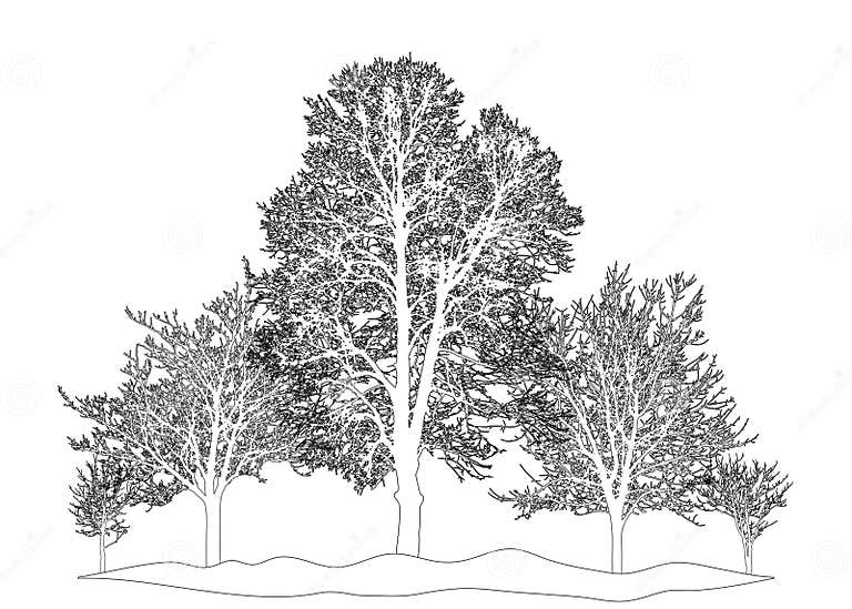 Group of Deciduous Bare Trees Standing on Hilltop, Outline. Vector ...