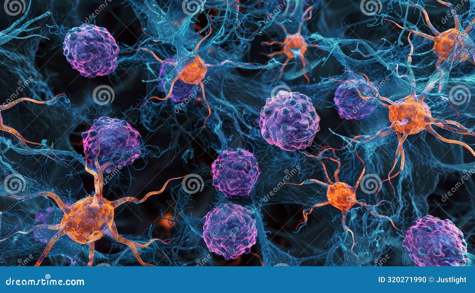 A Group of Dendritic Cells Undergoing Maturation Developing into Fully ...
