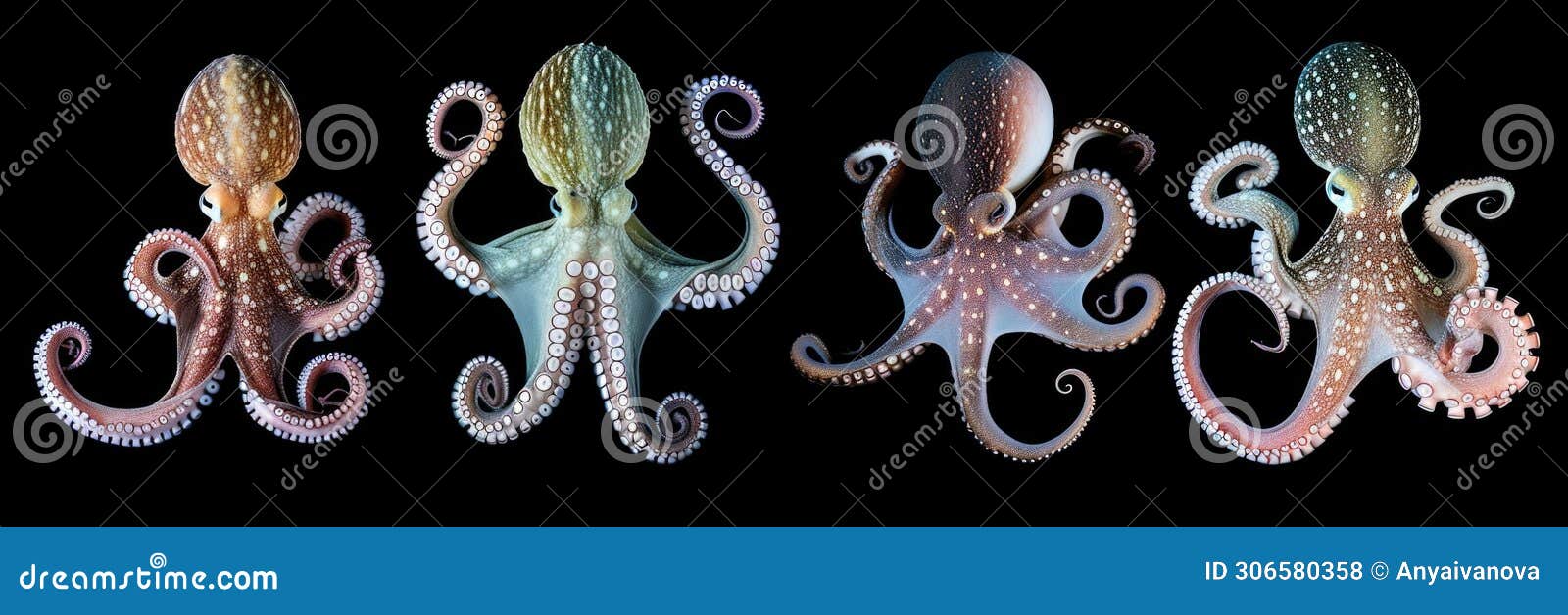 A Group of Different Colored Octopuses on a Black Background, Imitation ...