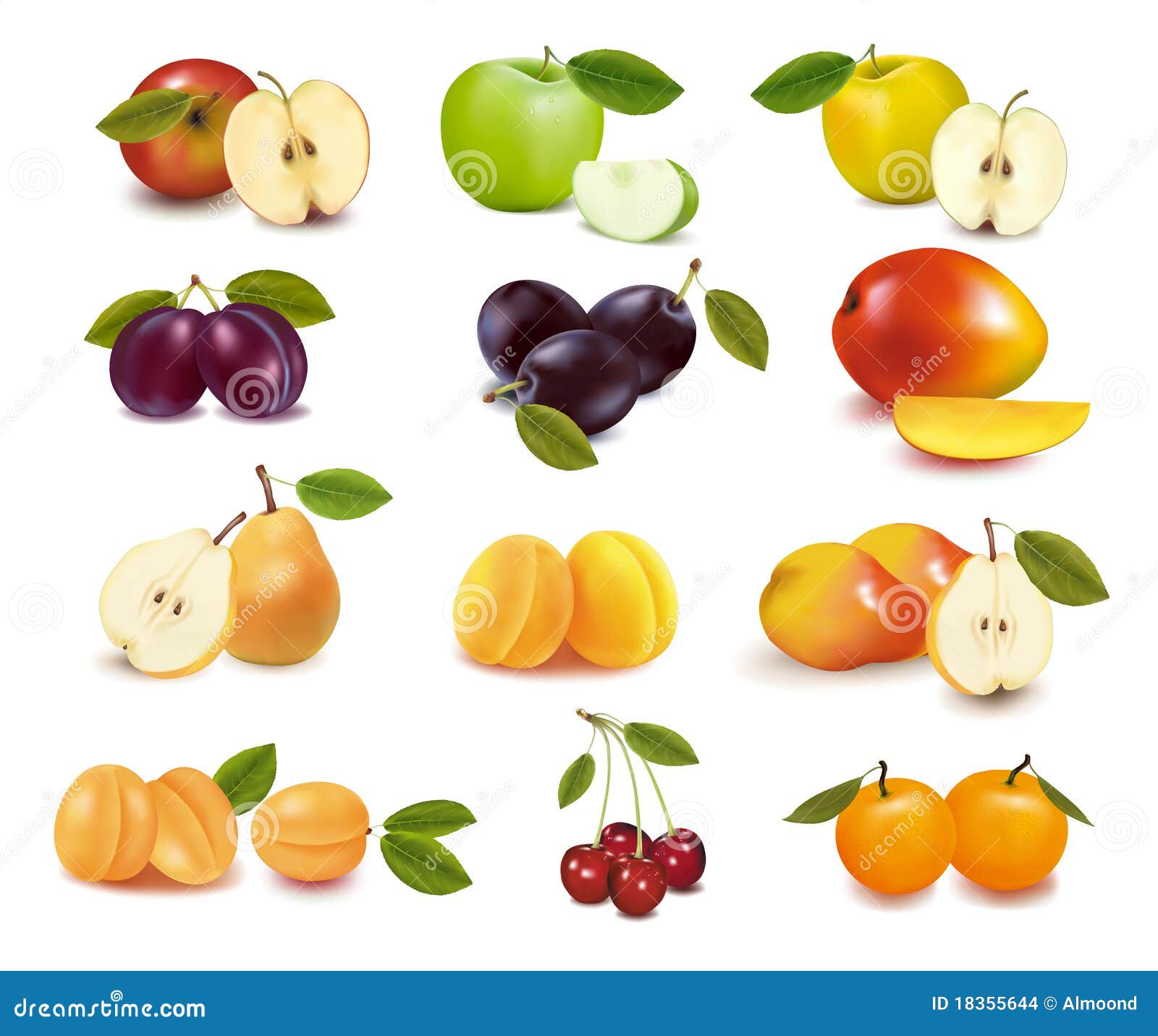 Group with Different Sorts of Fruit. Stock Vector - Illustration of ...