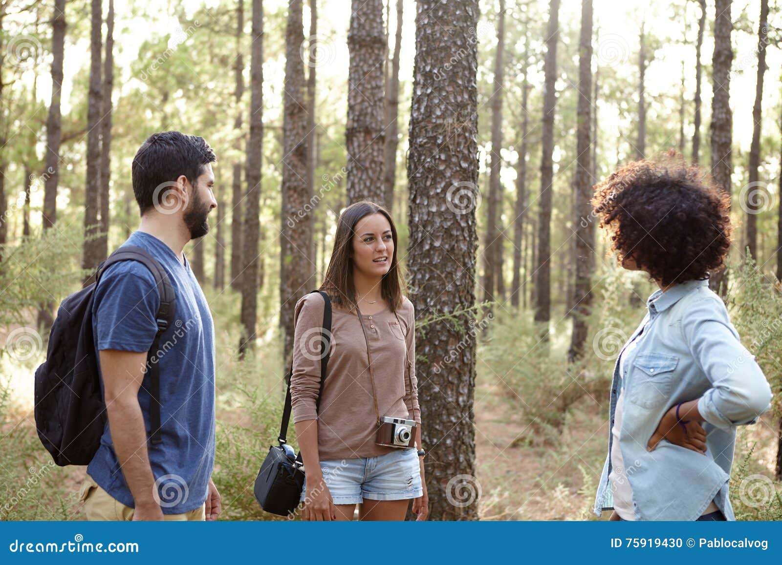 Group Discussion in the Pine Forest Stock Photo - Image of activity ...