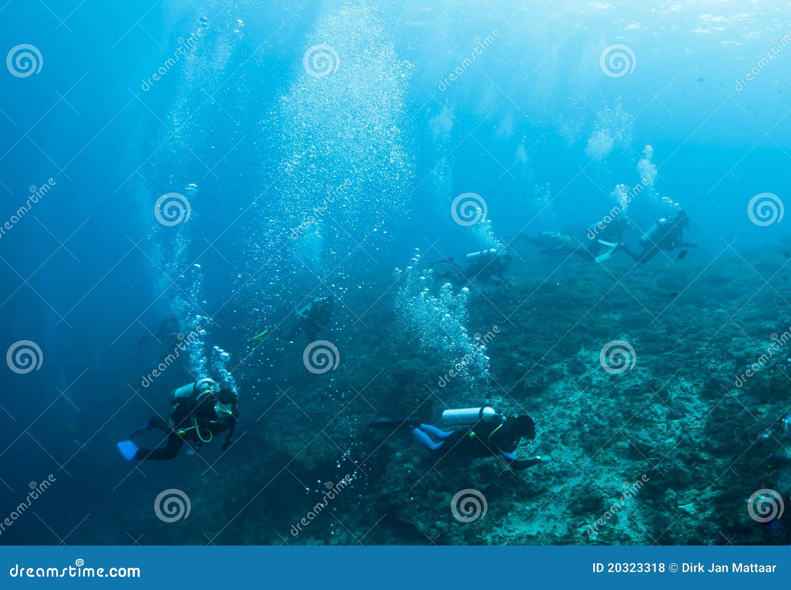 Group of divers stock photo. Image of underwater, sports - 20323318