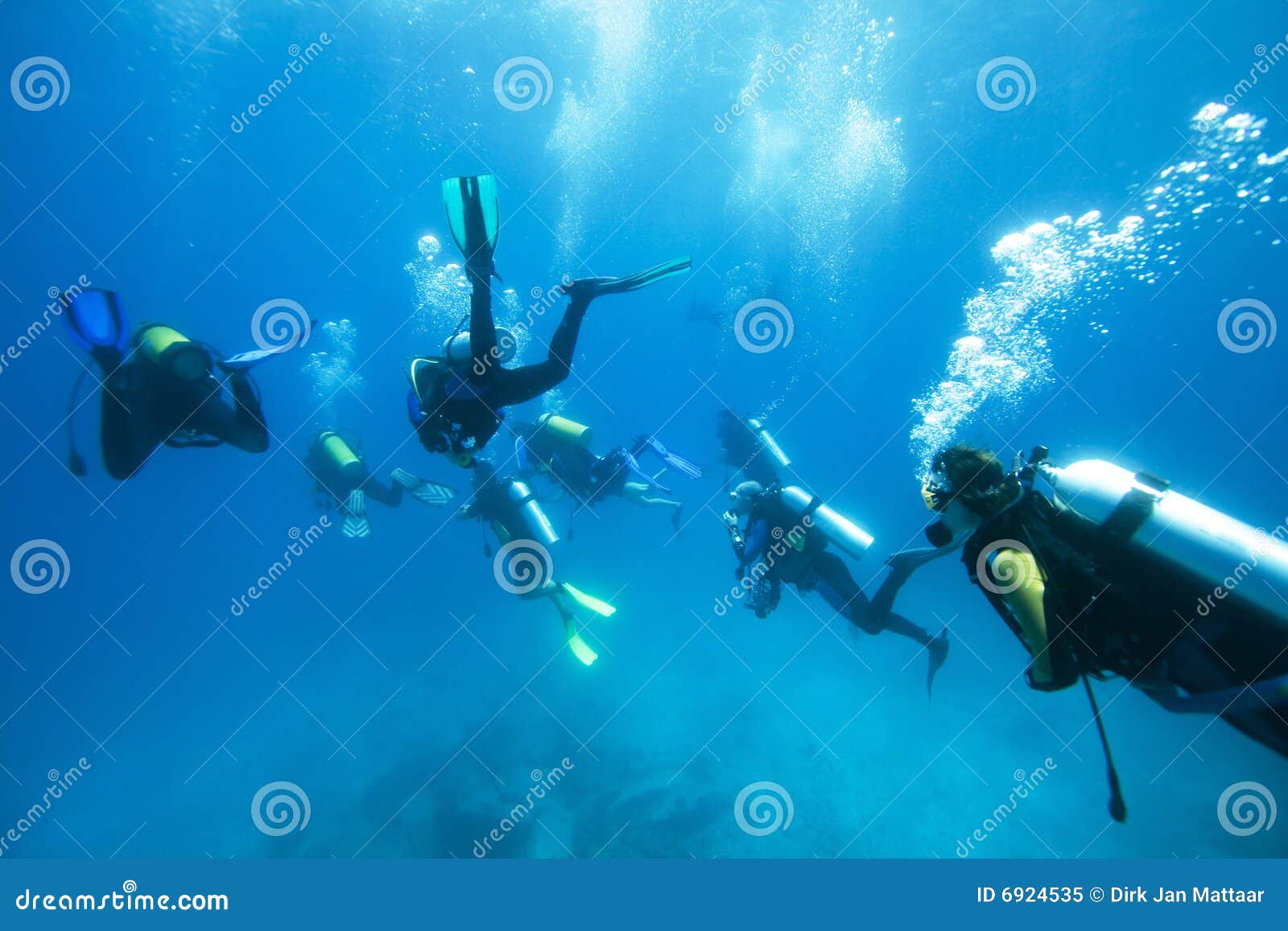 Group of divers stock image. Image of underwater, fins - 6924535