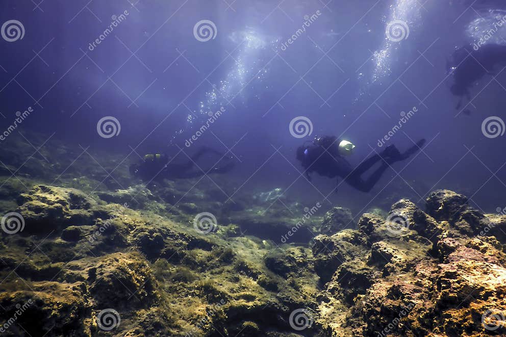 Group of Divers at the Bottom of the Sea Stock Image - Image of ...