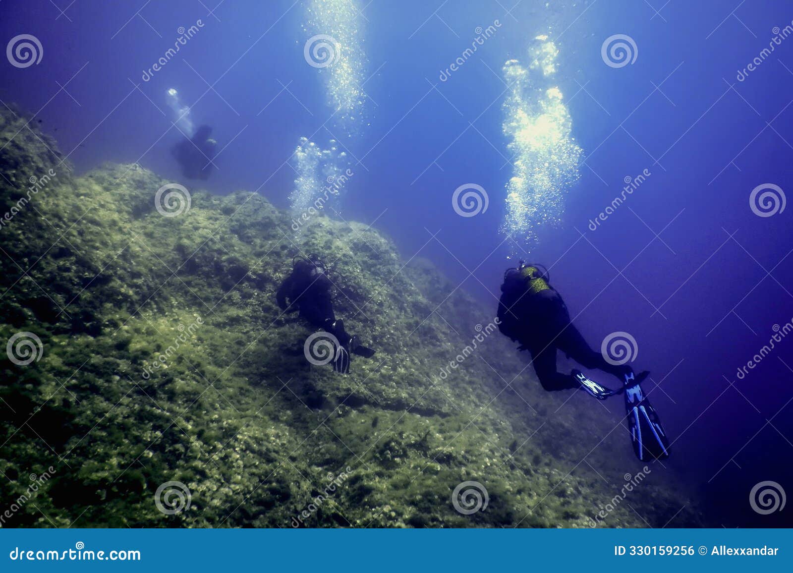 Group of Divers at the Bottom of the Sea Stock Photo - Image of marine ...