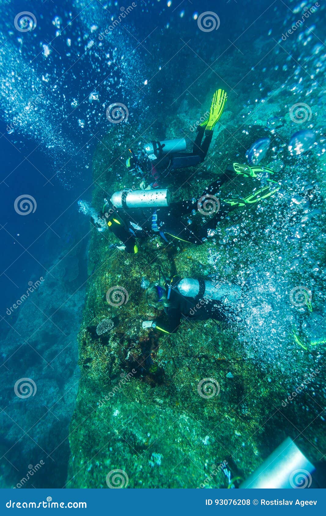 Group of divers going deep stock photo. Image of wetsuit - 93076208