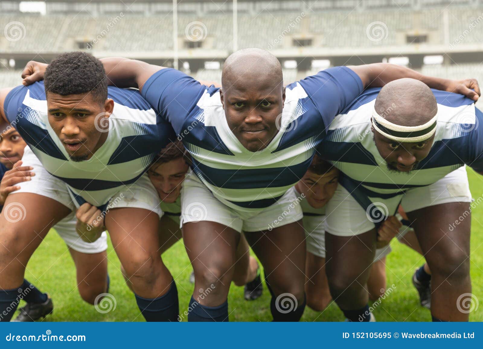Group of Diverse Male Rugby Player Ready To Play Rugby Match in Stadium ...