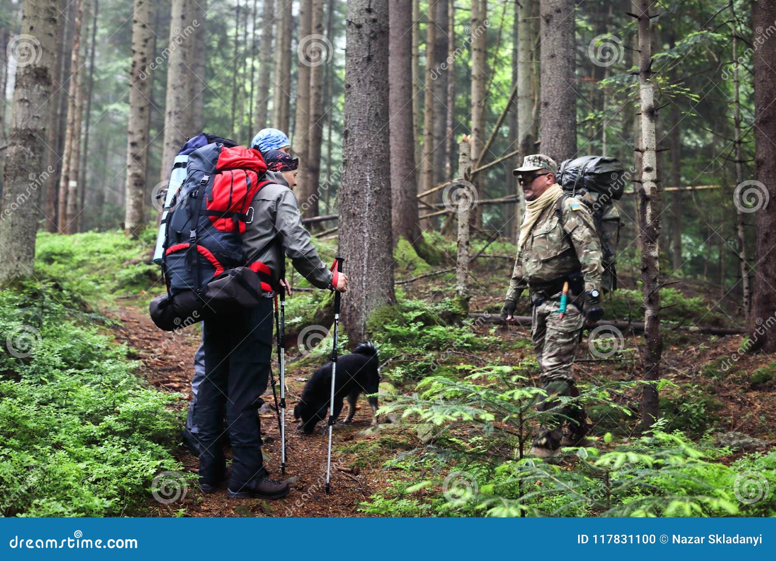 Three Men Hike in Forest with Backpack for Trekking Stock Photo - Image ...