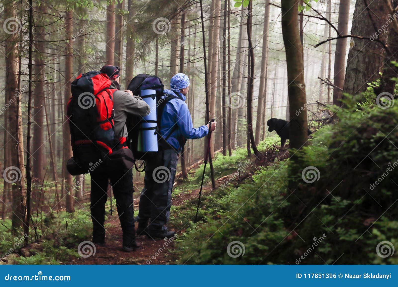 Three Men Hike in Forest with Backpack for Trekking Stock Photo - Image ...