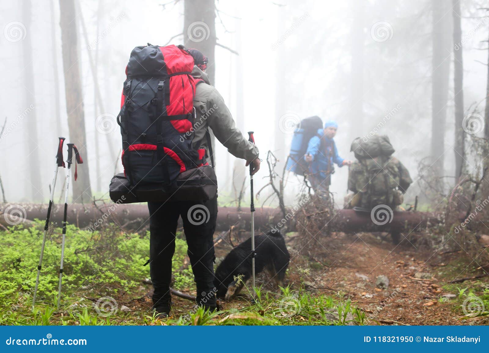 Three Men Hike in Forest with Backpack for Trekking Stock Photo - Image ...