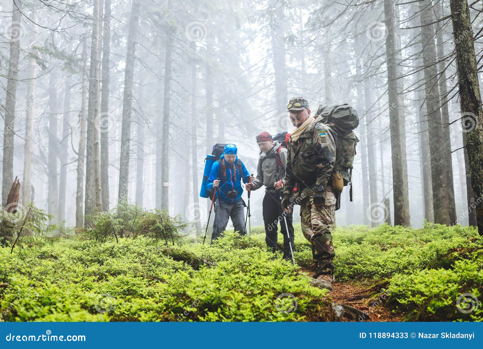 Three Men Hike in Forest with Backpack for Trekking Stock Image - Image ...