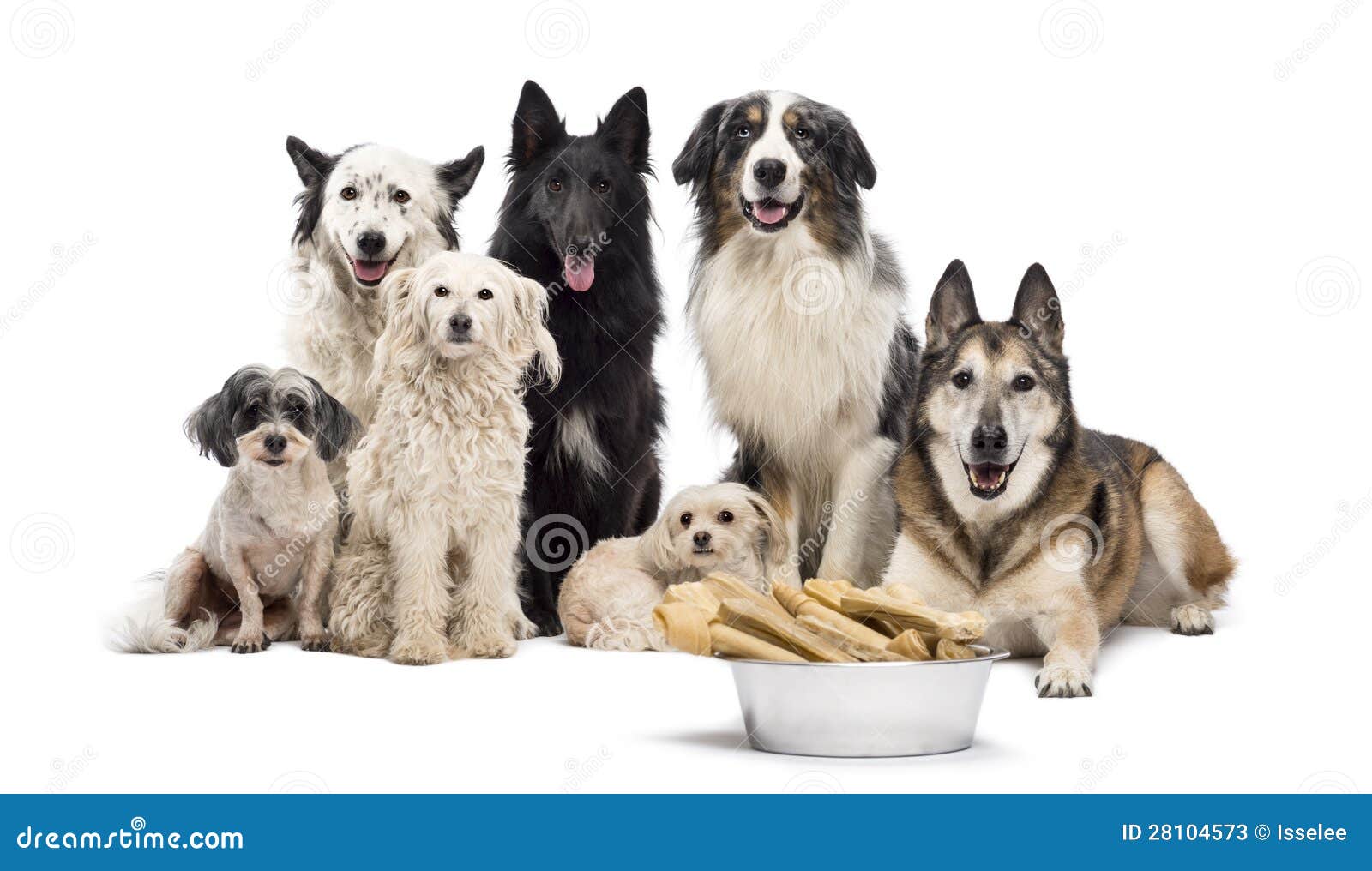 296 Dogs Bones Isolated Stock Photos - Free & Royalty-Free Stock Photos ...
