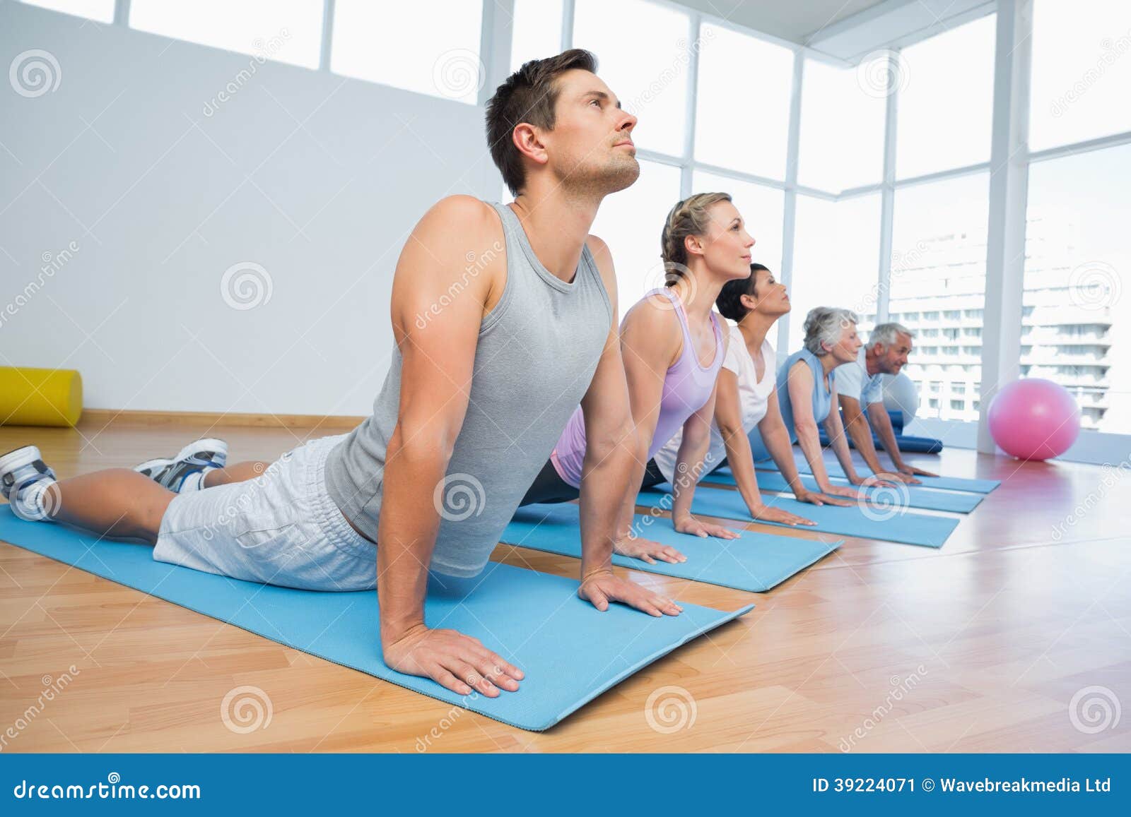 Group Doing Cobra Pose in Row at Yoga Class Stock Image - Image of ...