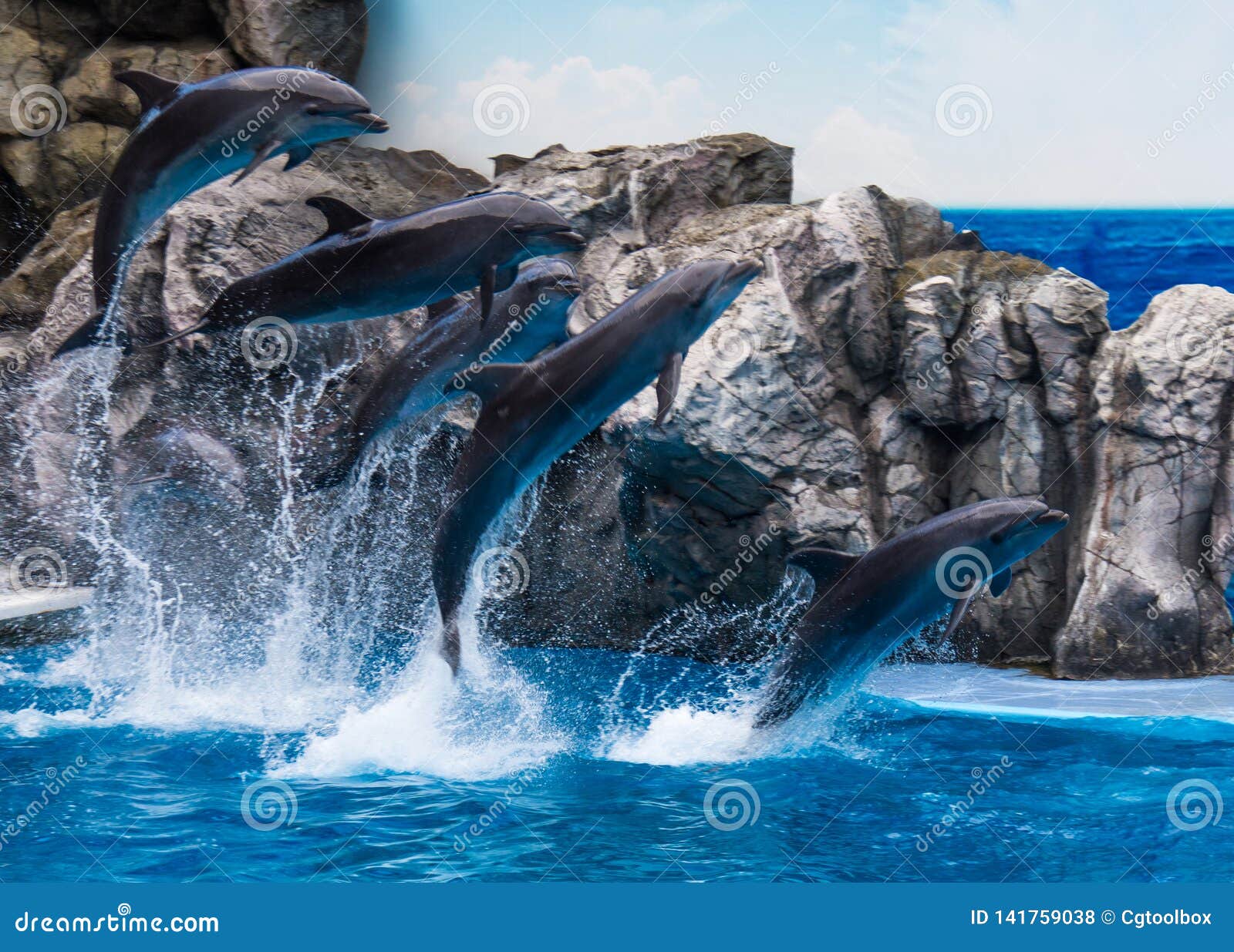 Five Dolphins. Stock Photography | CartoonDealer.com #100113734
