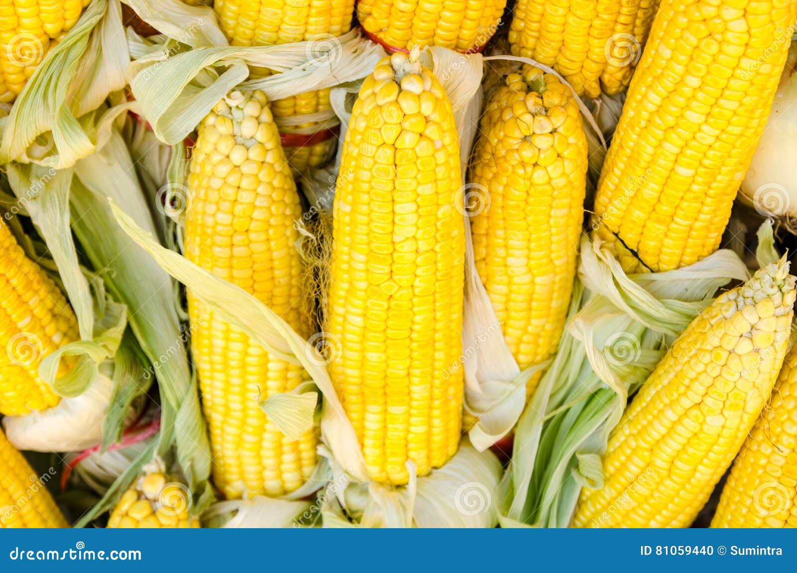 Group Dried Yellow Corn Cereal Background Stock Photo - Image of peel ...