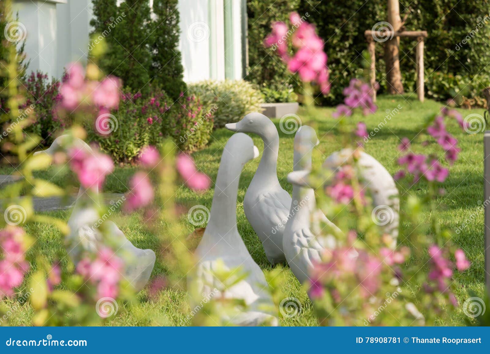 Group of duck statue. stock image. Image of garden, nature - 78908781