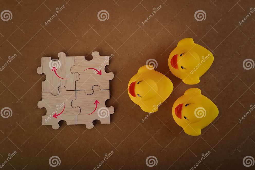 Group of Ducks Stood at the Arrows Where the Path Ahead of Him Split ...