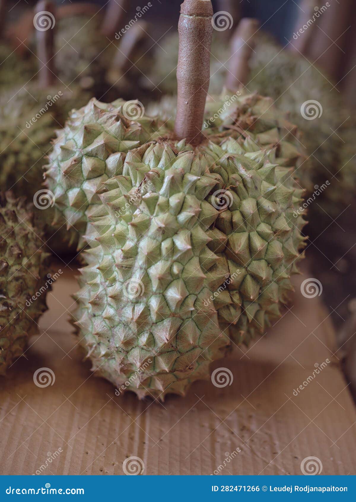 Group of Durians in the Durian Market. Thailand Stock Photo - Image of ...