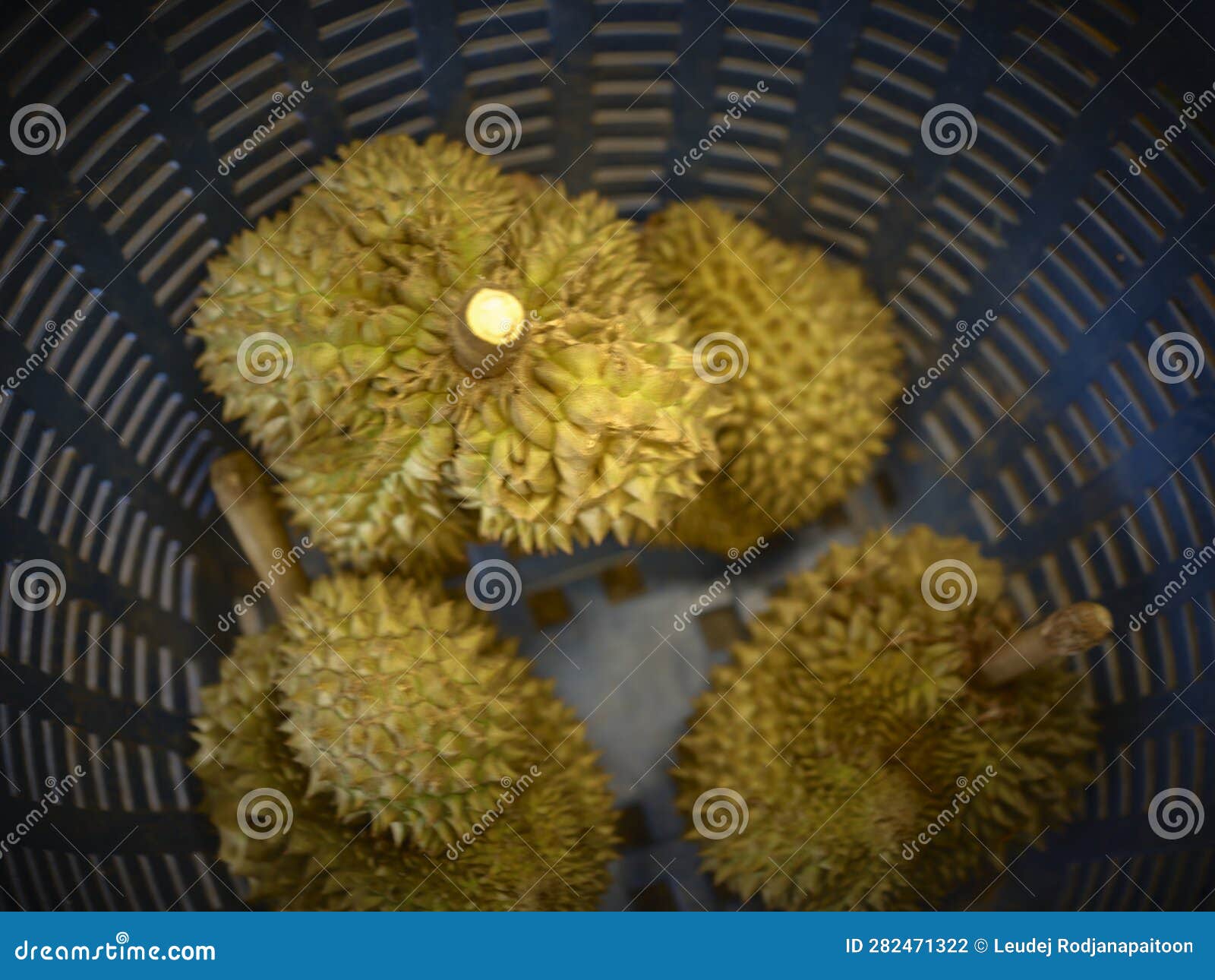 Group of Durians in the Durian Market. Thailand Stock Photo - Image of ...
