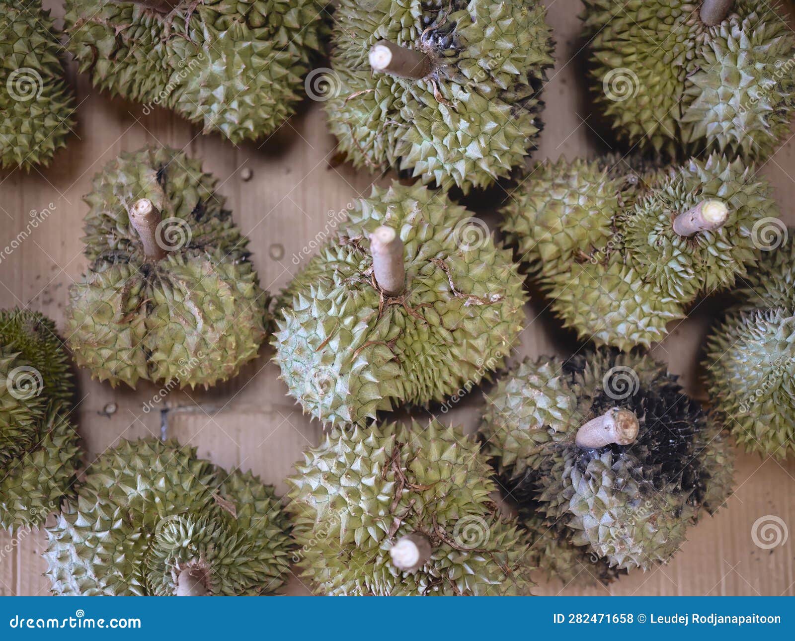 Group of Durians in the Durian Market. Thailand Stock Photo - Image of ...