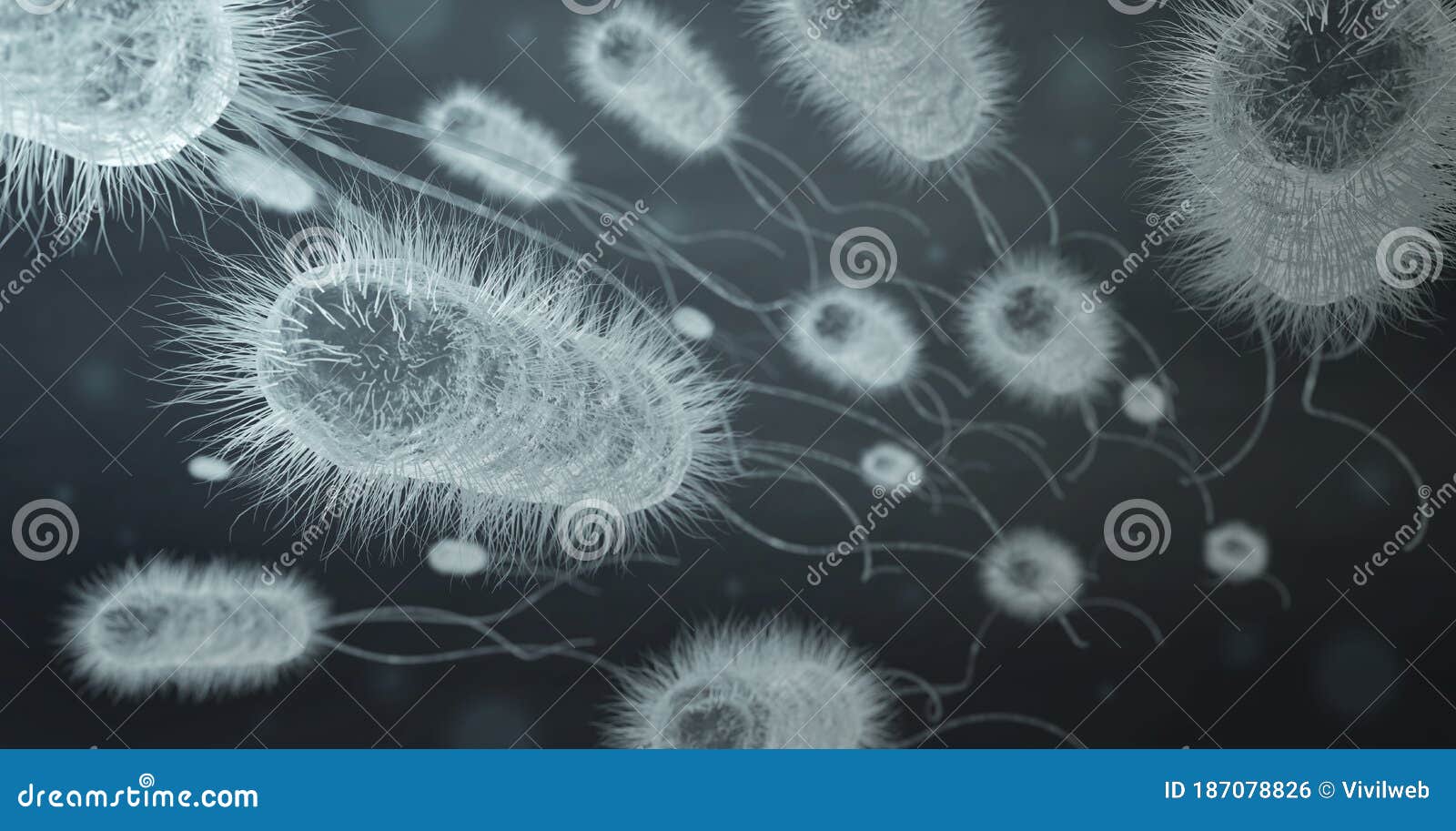 Bacteria Cells With Rough Texture Royalty-Free Stock Image ...