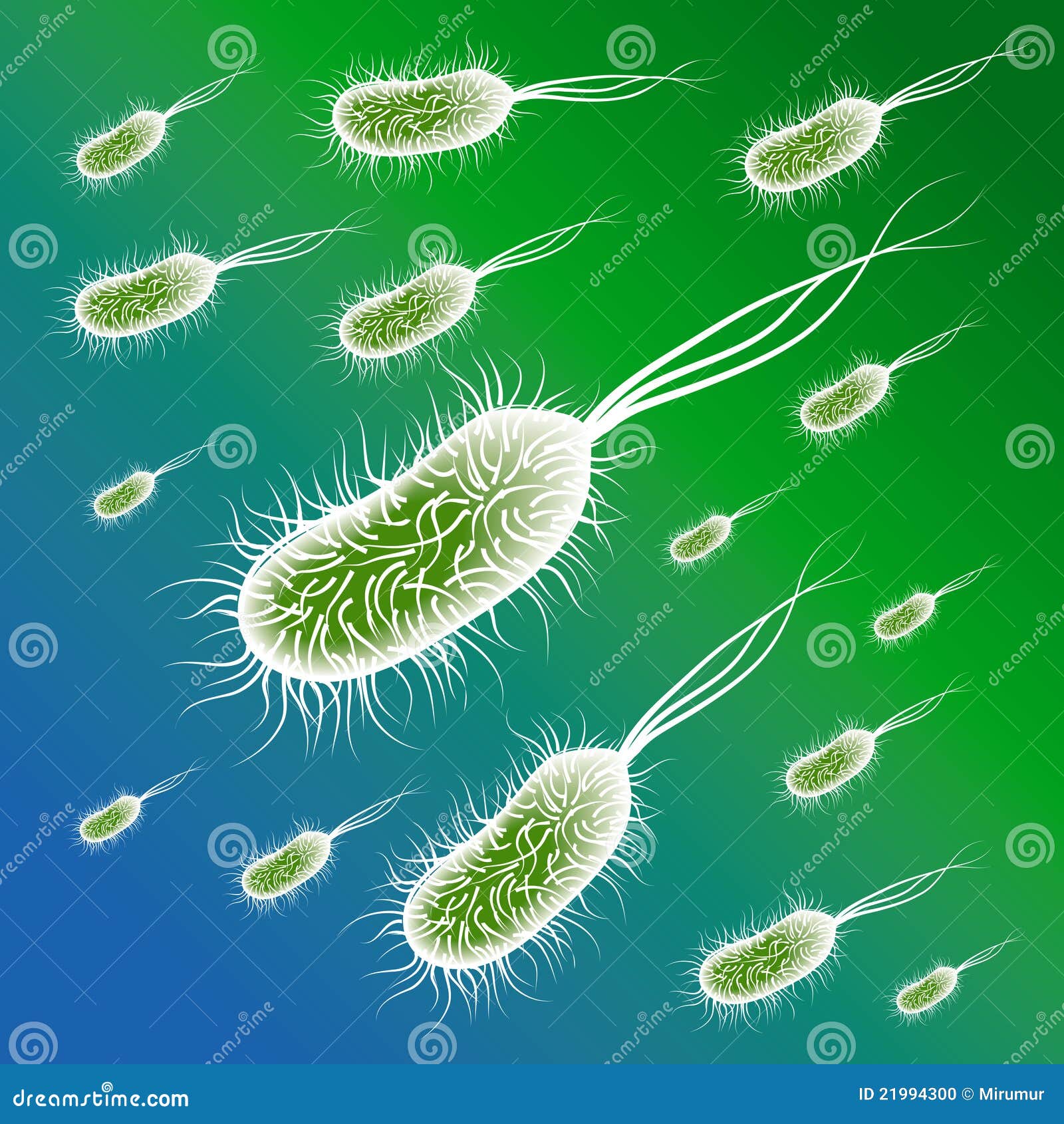 Group of the E Coli Bacteries. Vector Illustration Stock Vector ...