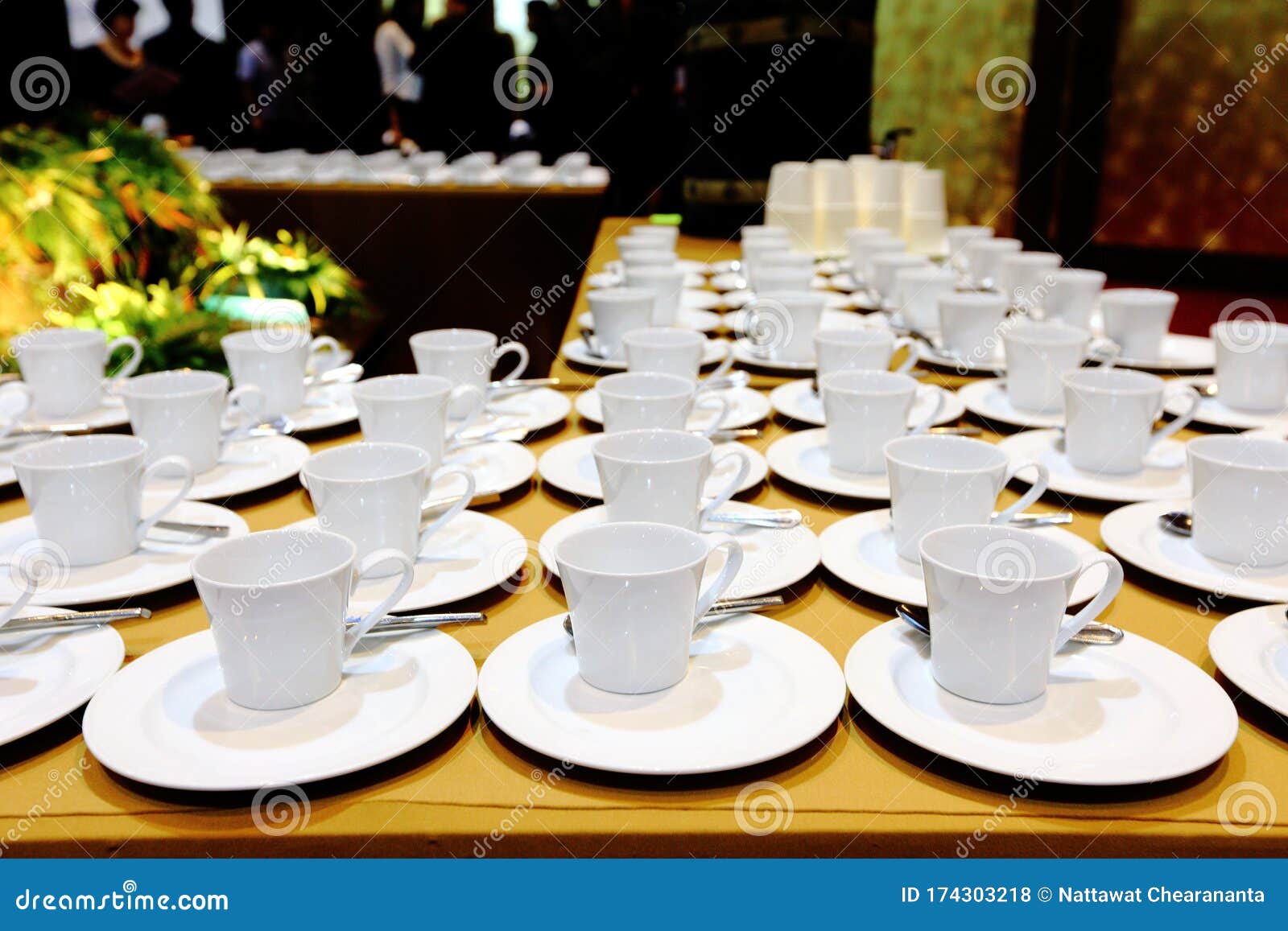 Group of Empty Coffee Cups.Many of White Cup for Service Tea or Coffee ...