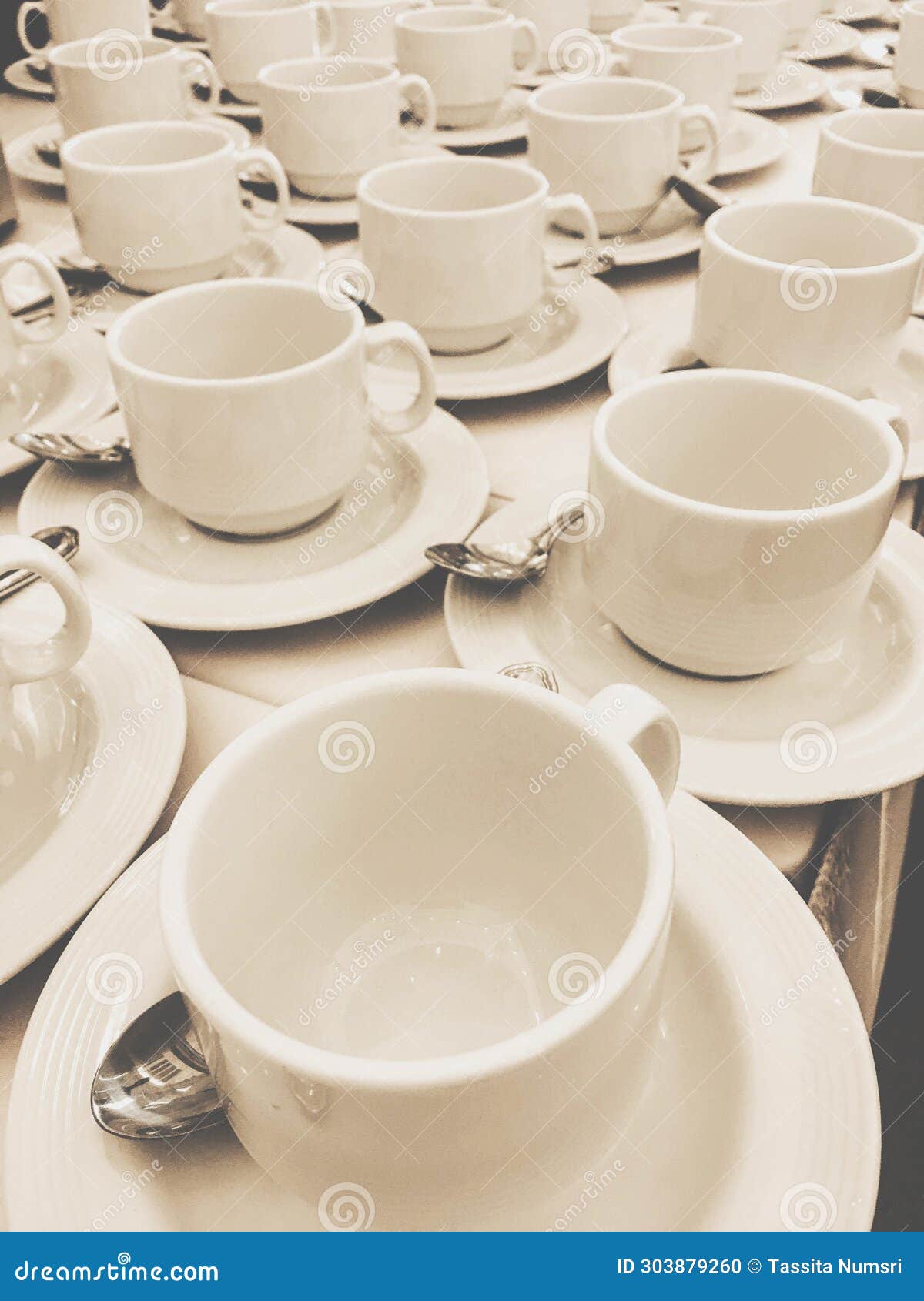 Group of Empty Coffee Cups of White Cup for Service Tea or Coffee in ...
