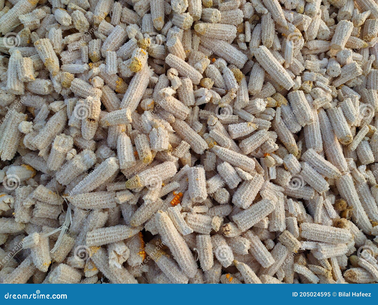 Empty Corn starch stock image. Image of vegetable, breakfast - 205024595