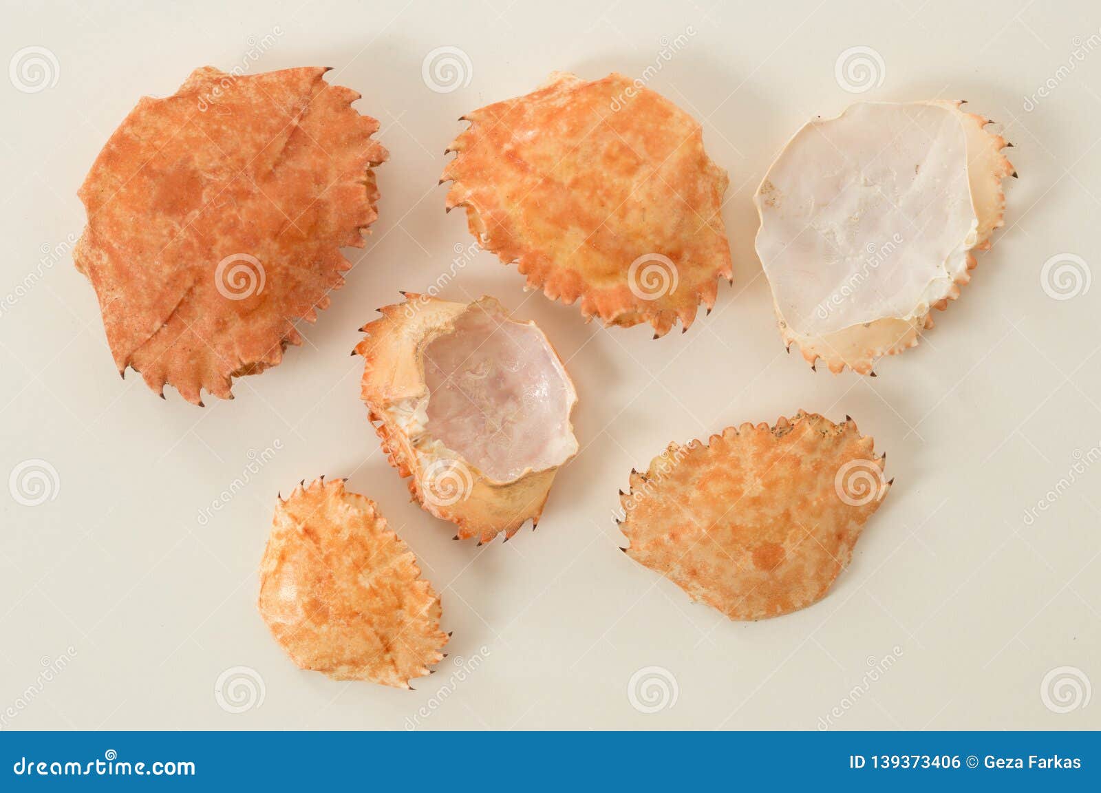 Group of Empty Crab Shell on White Stock Photo - Image of crab, group ...
