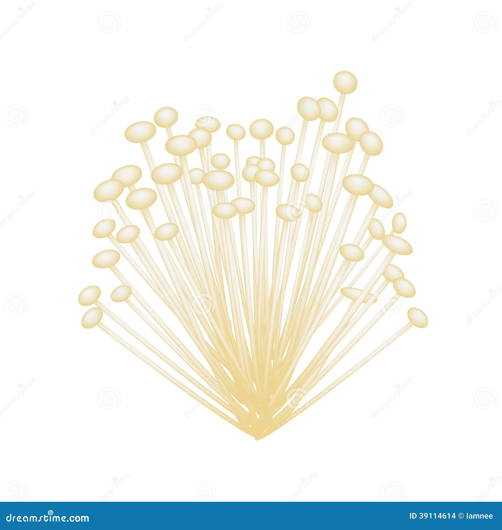 Enoki Mushrooms . Flat Cartoon Vector Illustration Isolated On White ...