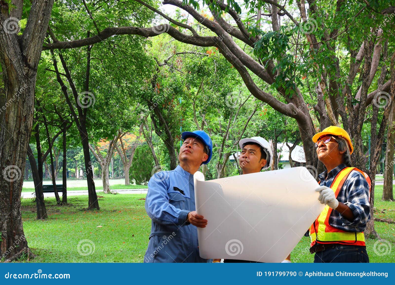 Group of Environment Engineer Visiting the Area Site Following Restore ...