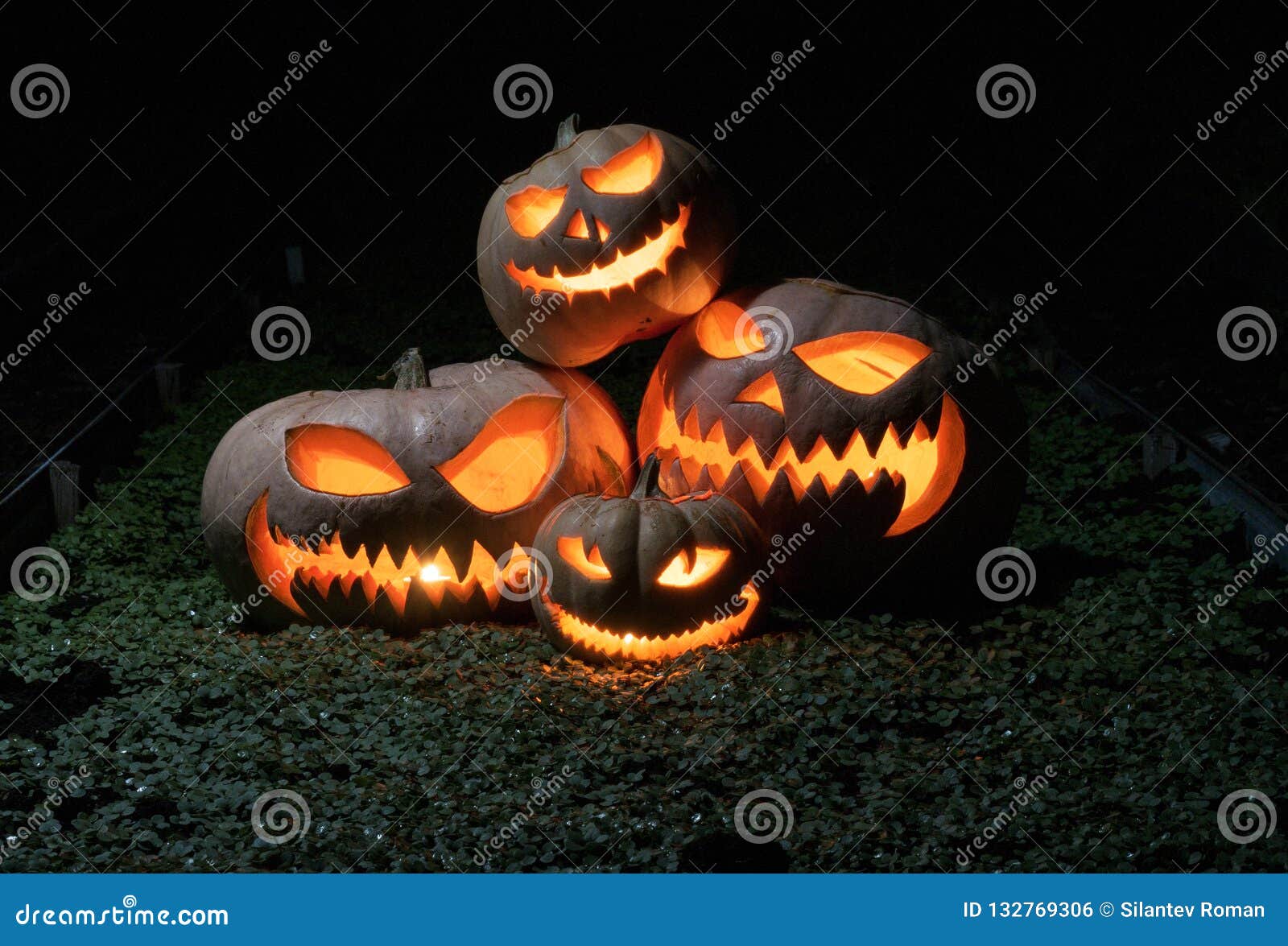 Group of evil pumpkins stock photo. Image of glowing - 132769306