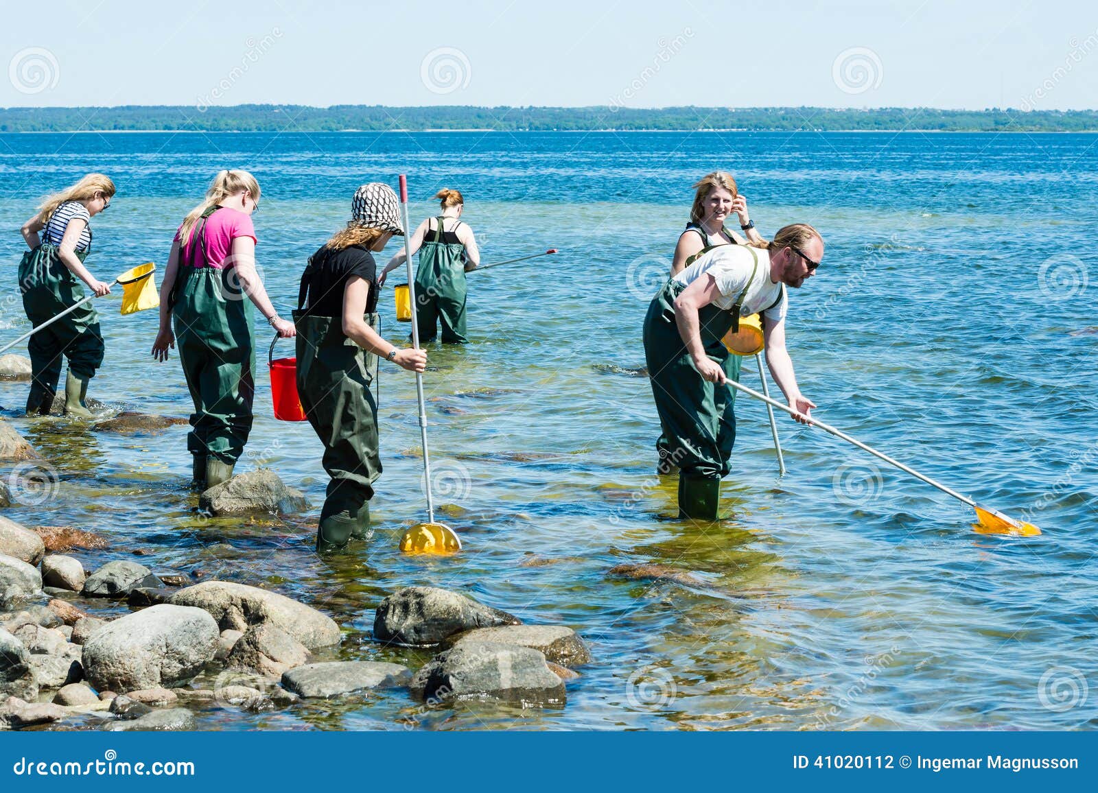 Group Examining Water with Ring Nets Editorial Photography - Image of ...