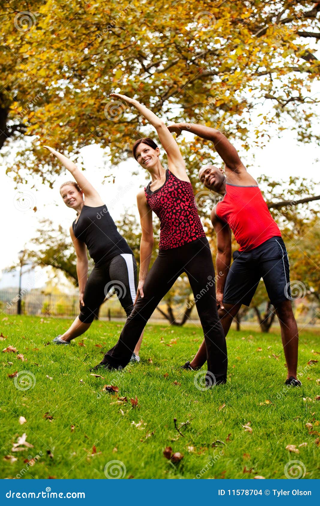 Group Exercise stock photo. Image of american, healthy - 11578704