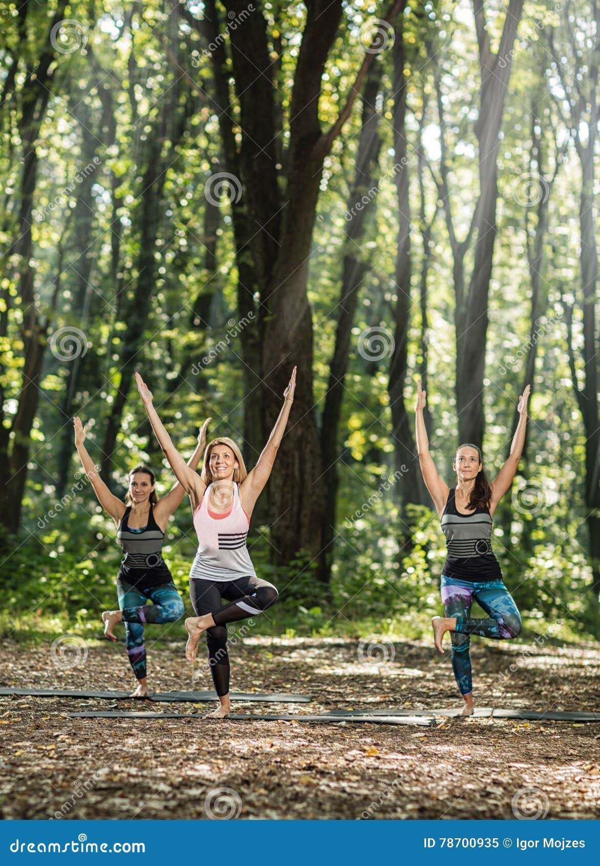 Group exercises in nature stock image. Image of adult - 78700935