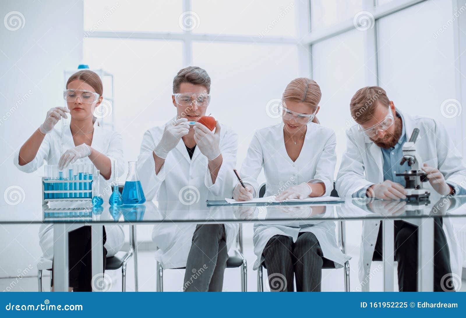 Group of Experts Checking the Quality of Apples Stock Image - Image of ...