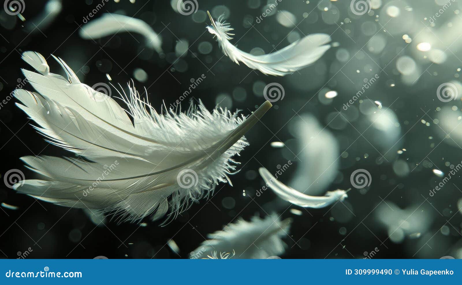 Group of Feathers Floating in the Air Stock Photo - Image of light ...