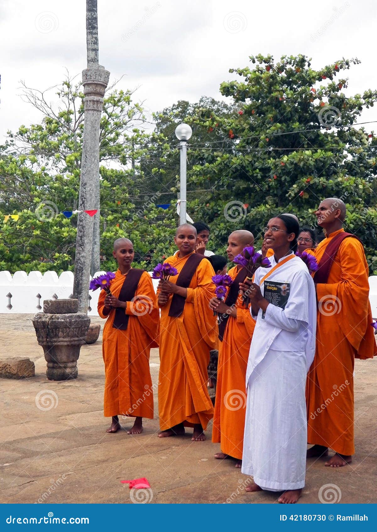 Group of Female Buddhist Monks in Sri Lanka Editorial Image - Image of ...