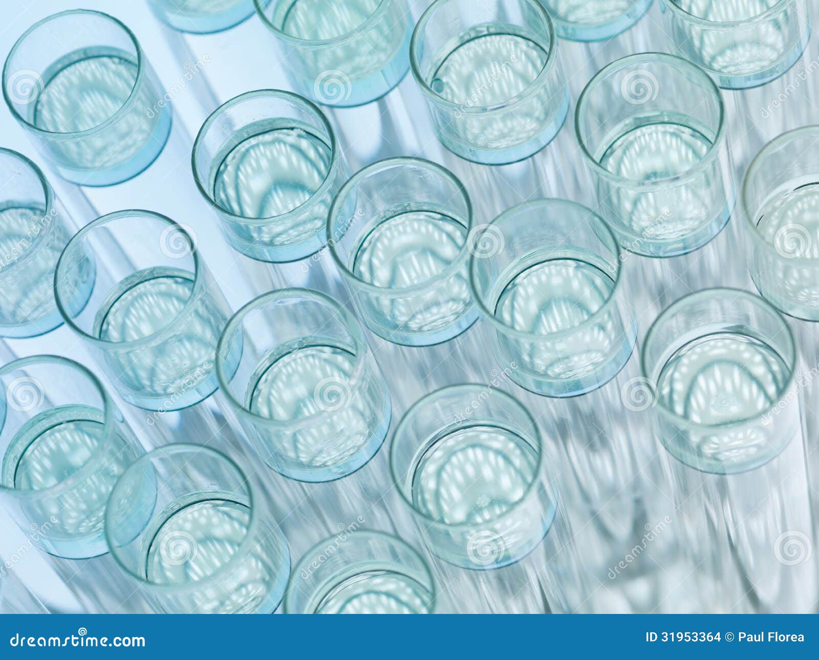 A Group of Filled Laboratory Test Tubes Stock Photo - Image of ...