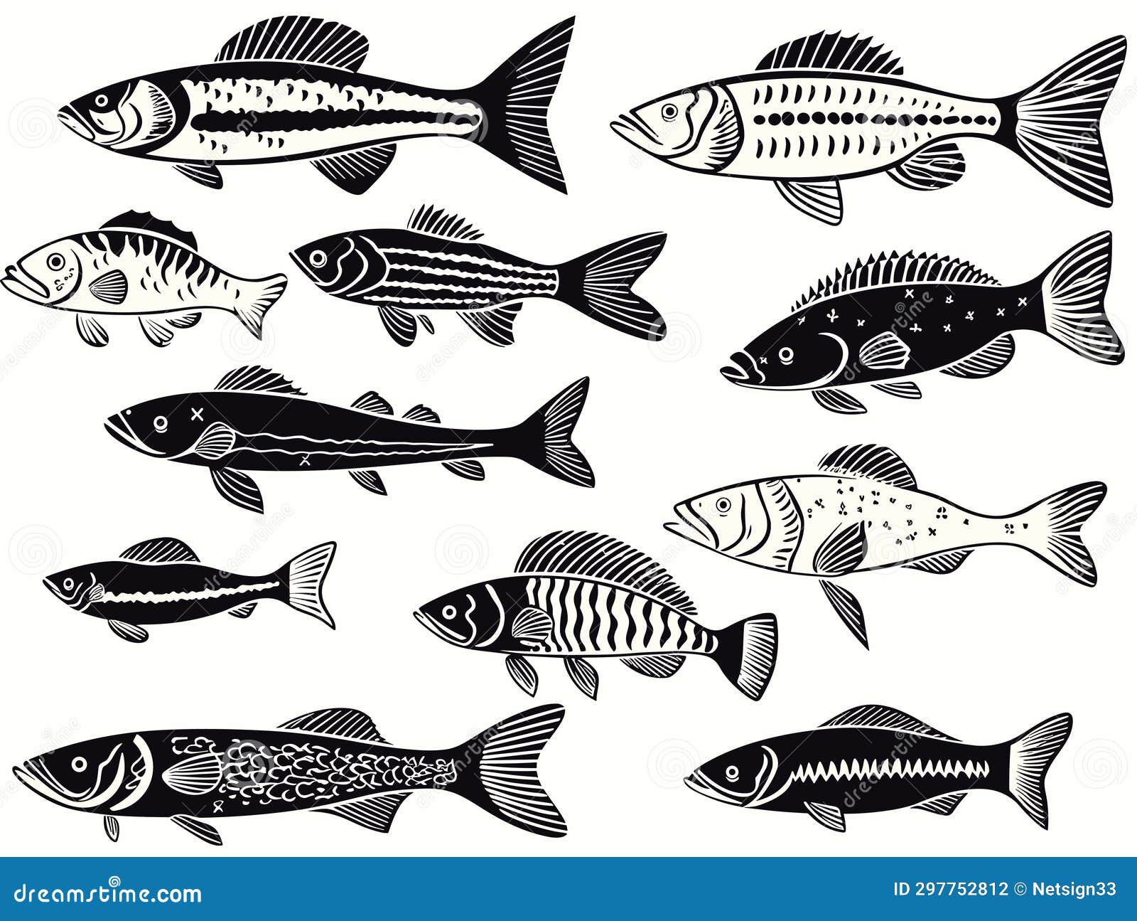 A Group of Fish with Different Patterns - Types Freshwater Fish ...