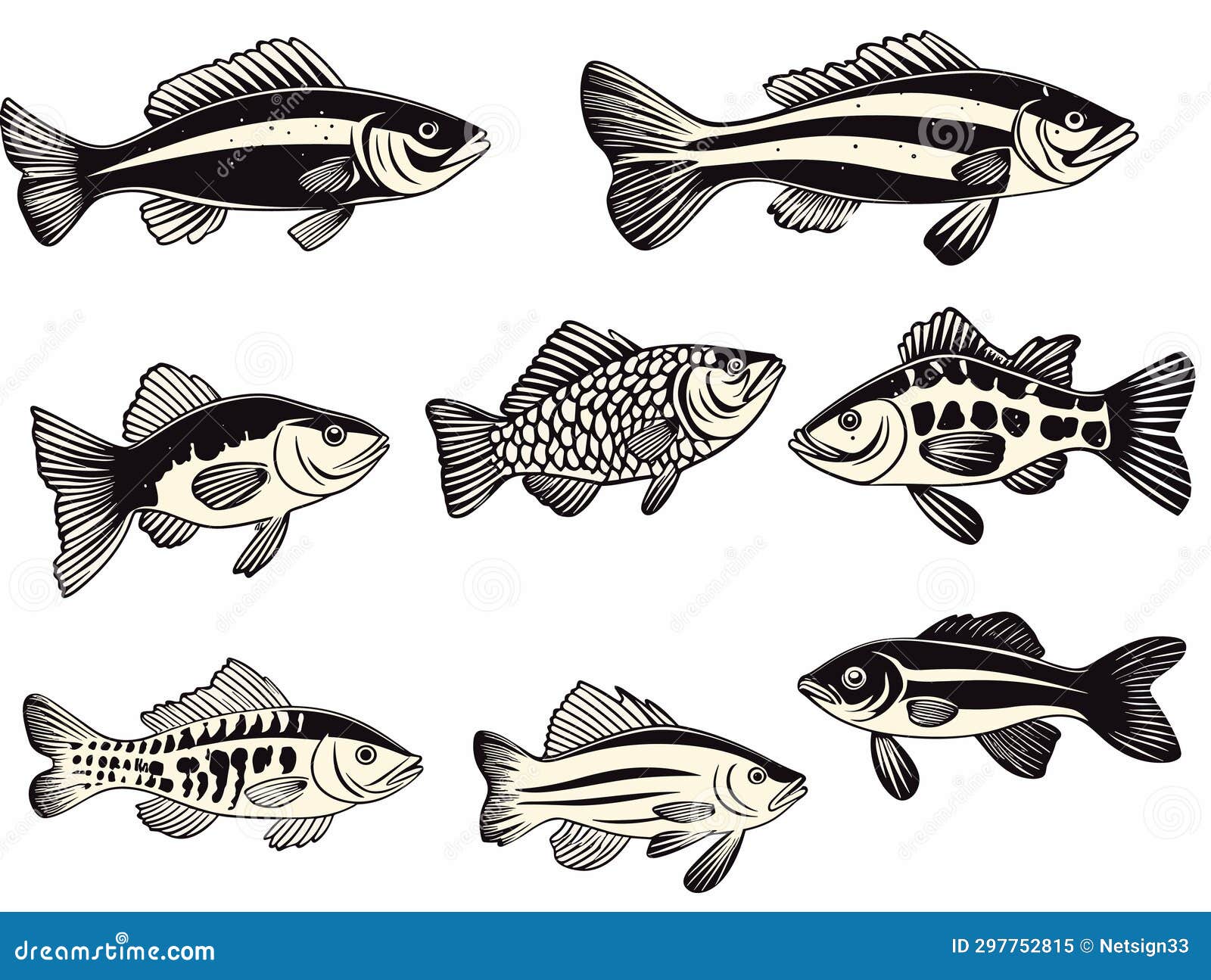 A Group of Fish with Different Shapes - Types Freshwater Fish ...