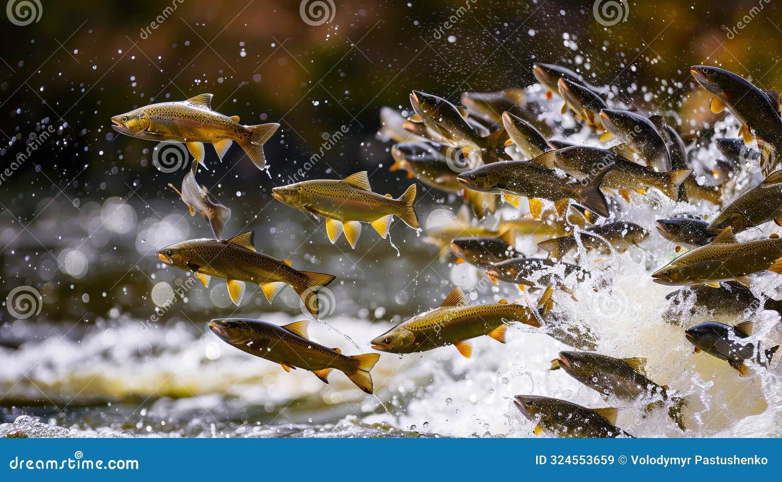 A Group of Fish Jumping Out of the Water Stock Image - Image of nature ...