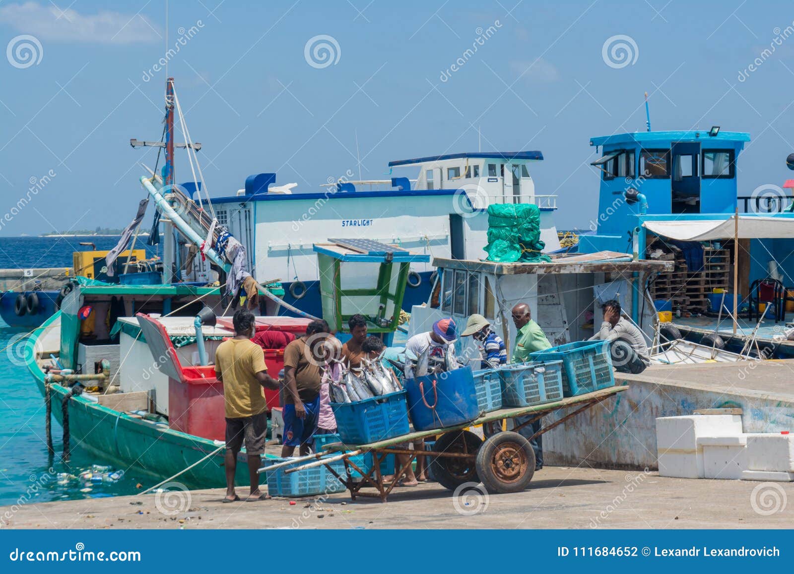 Group of Fishermen at the Harbor Loading Fish in the Baskets Editorial ...